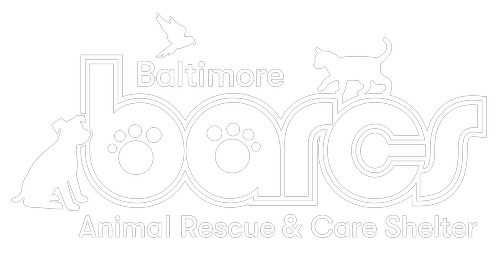 Dog's Day Out Program — Baltimore Animal Rescue and Care Shelter (BARCS)