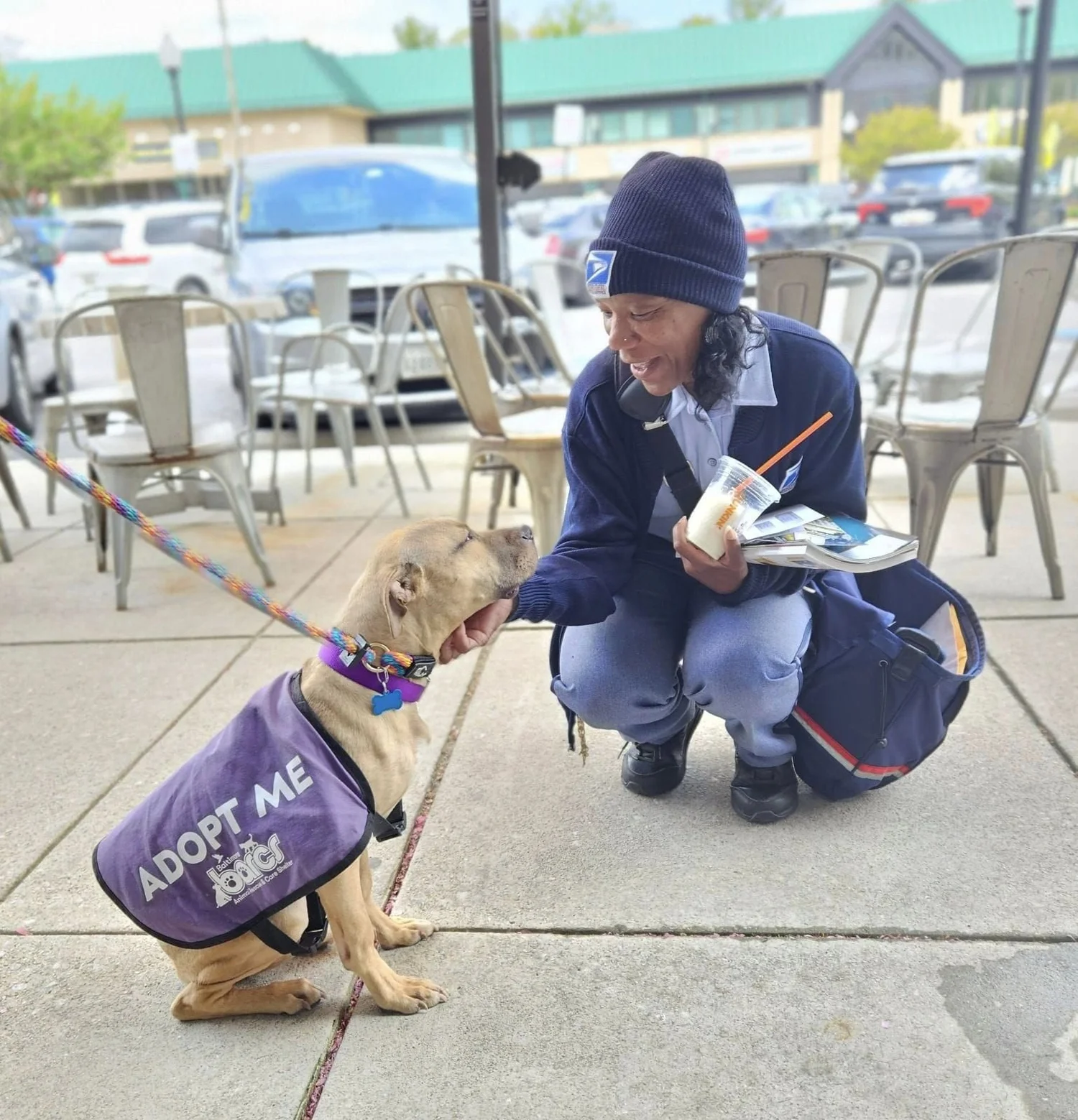Dog's Day Out Program — Baltimore Animal Rescue and Care Shelter (BARCS)
