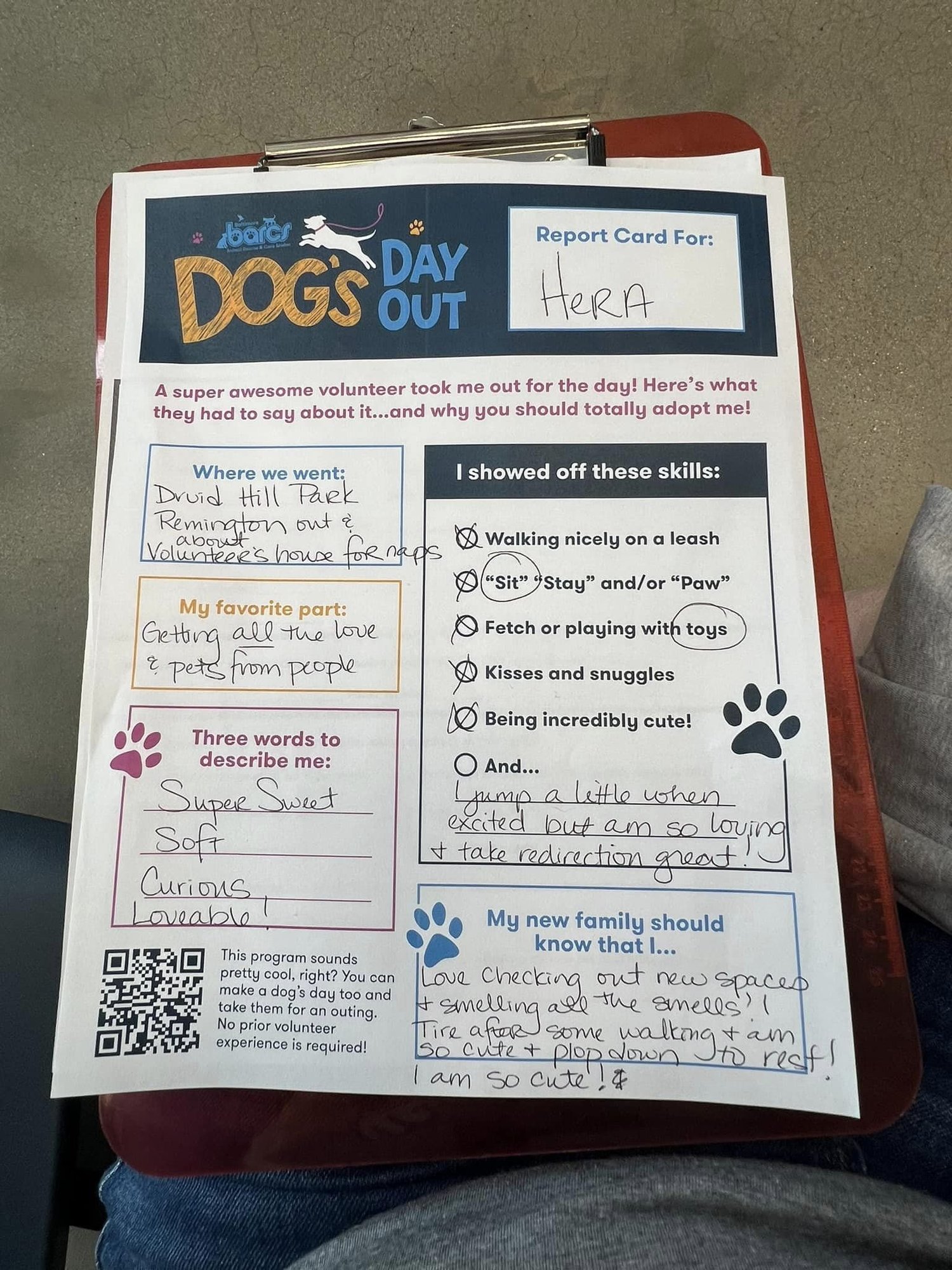 Dog's Day Out Program — Baltimore Animal Rescue and Care Shelter (BARCS)