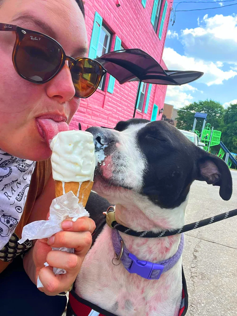 Host an Event for BARCS — Baltimore Animal Rescue and Care Shelter (BARCS)