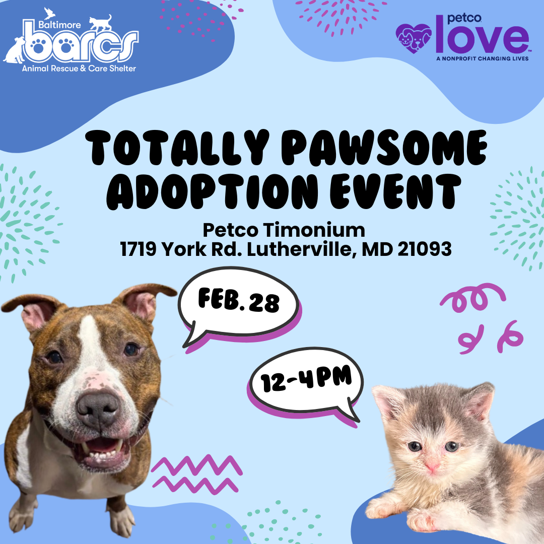 Totally Pawsome Adoption Event at Petco Timonium — Baltimore Animal ...
