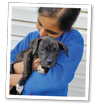 Foster Animals — Baltimore Animal Rescue and Care Shelter (BARCS)