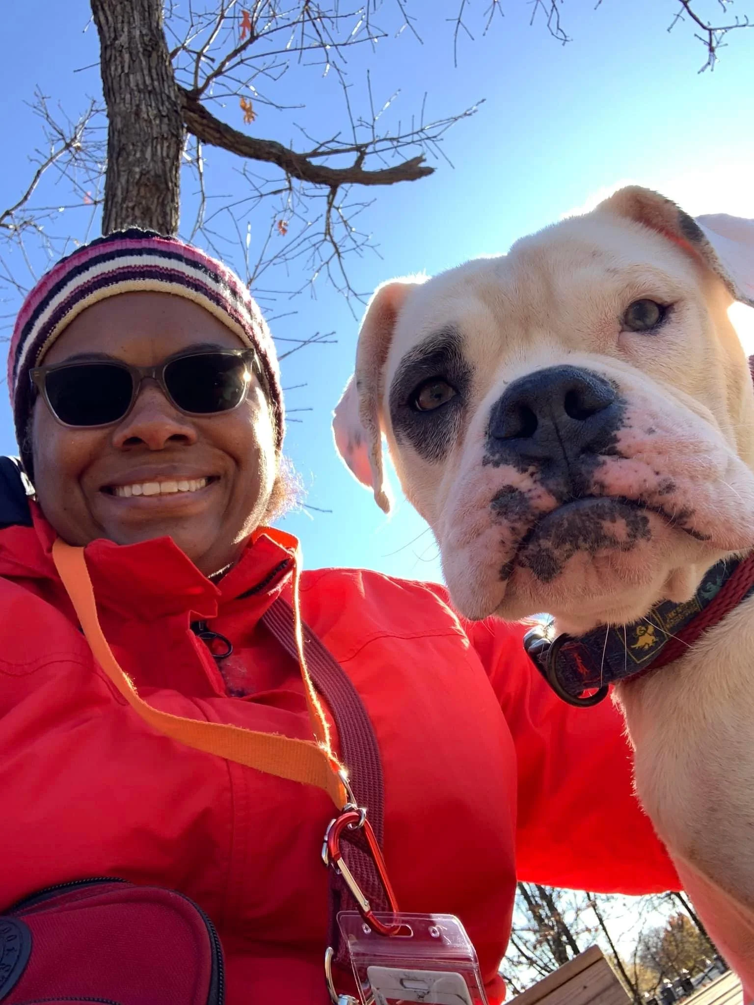 Volunteer — Baltimore Animal Rescue and Care Shelter (BARCS)