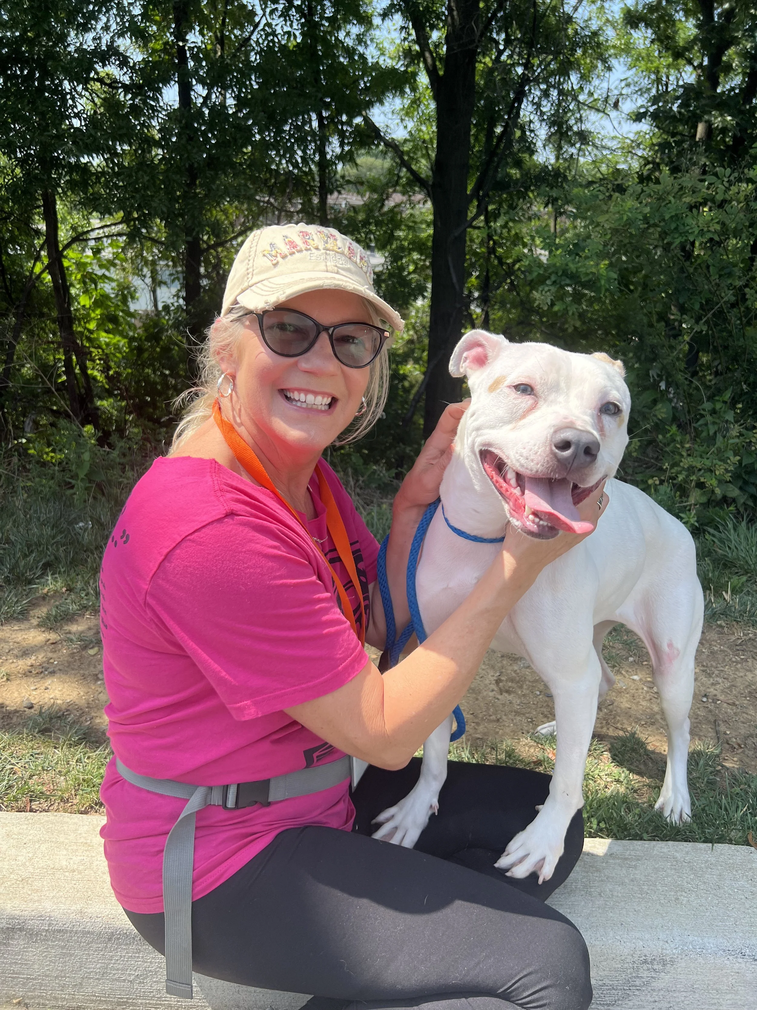 Naming Opportunities — Baltimore Animal Rescue and Care Shelter (BARCS)