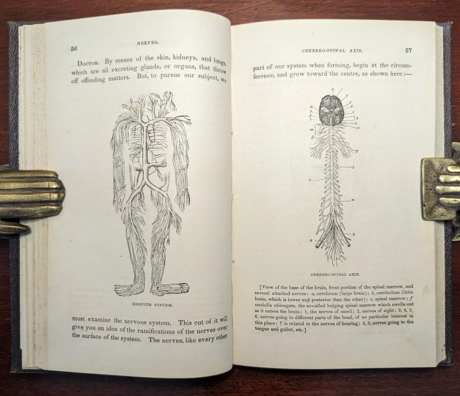 Esoterica Rare Occult Books