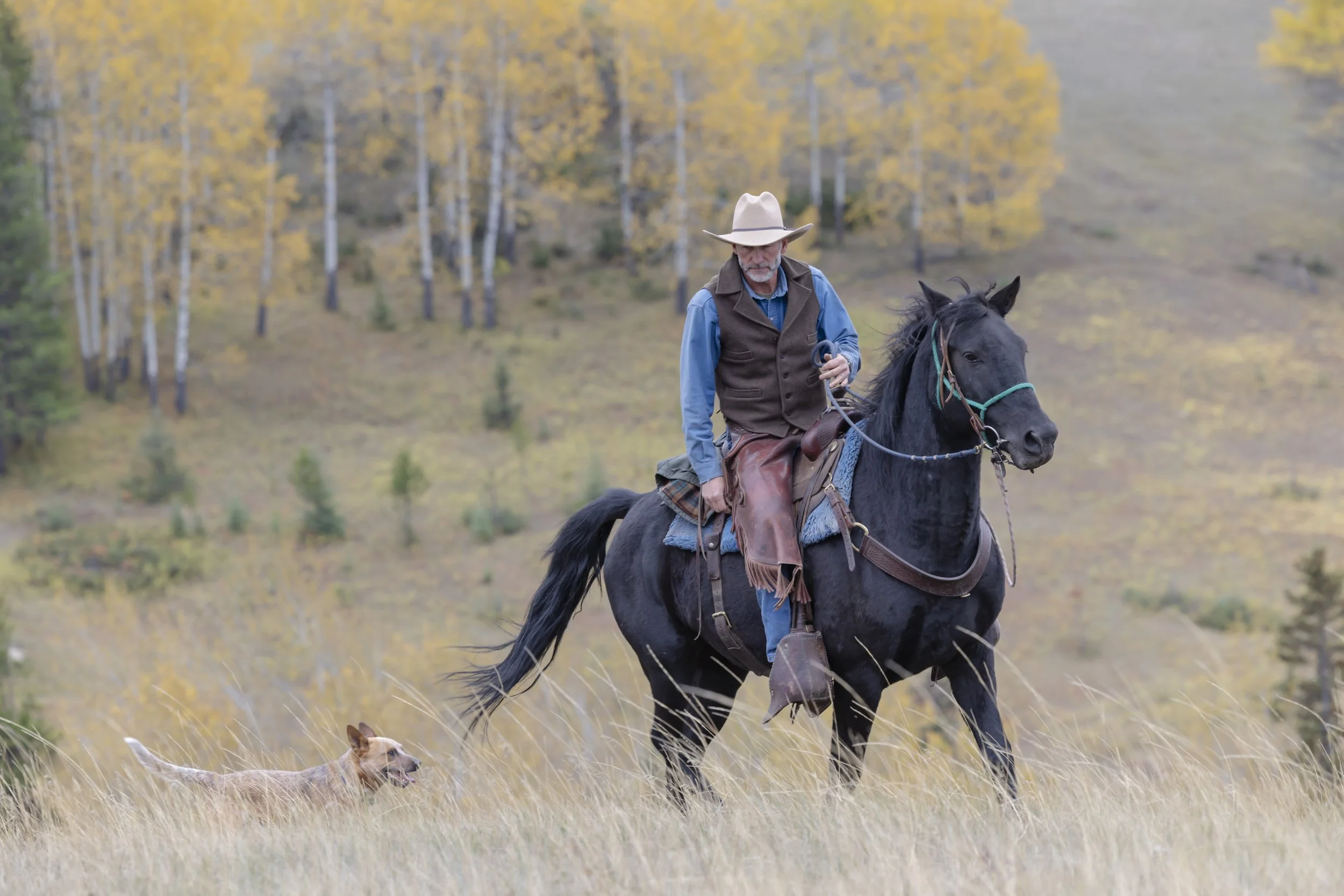 Elk Valley Cowboy Bill Hanlon — The Trench Magazine