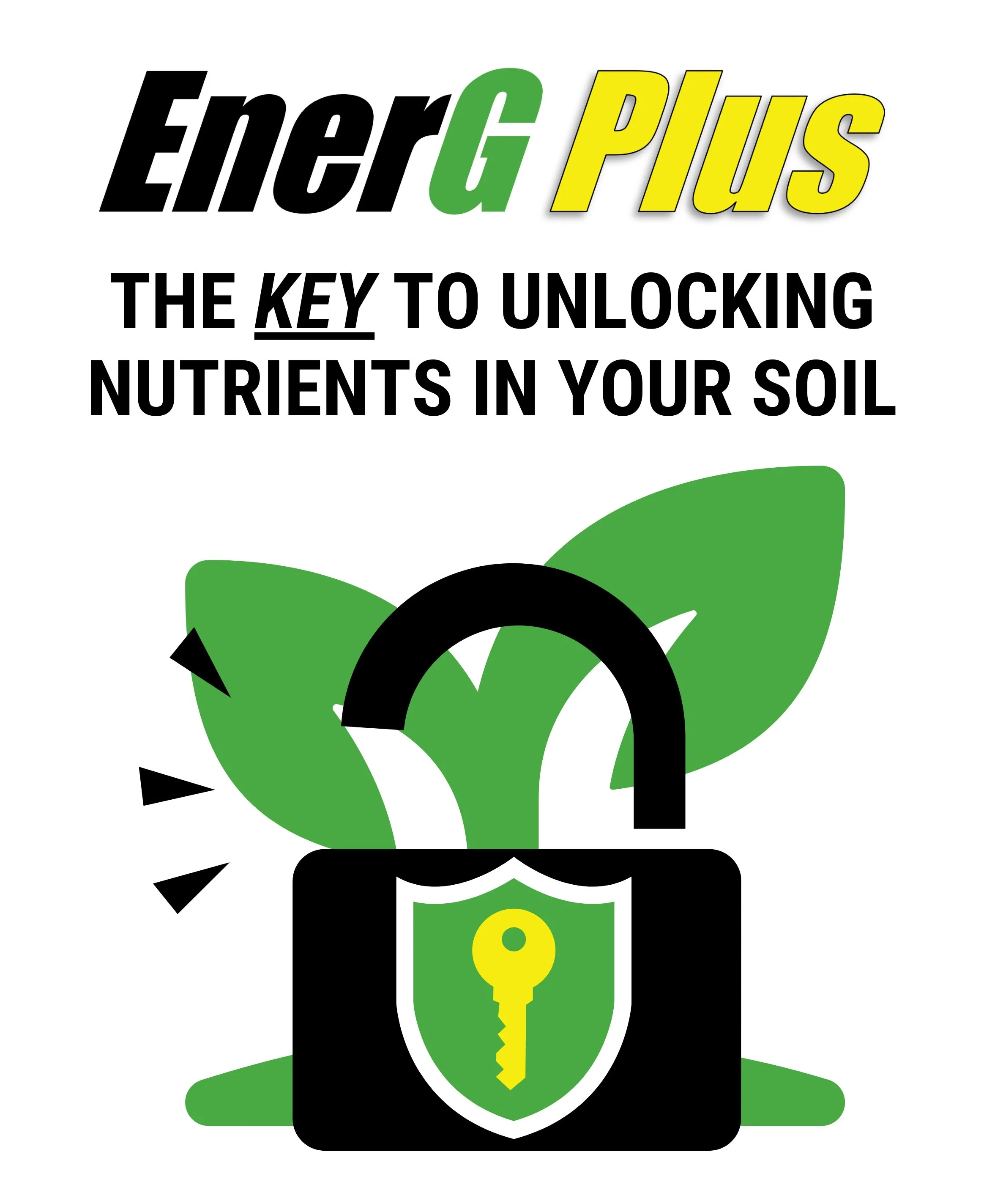 EnerG Plus (OMRI) — AP