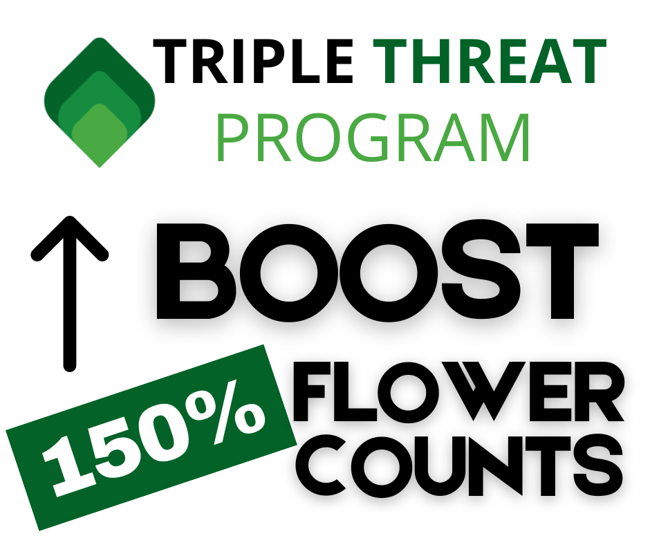 Triple Threat Program — AP