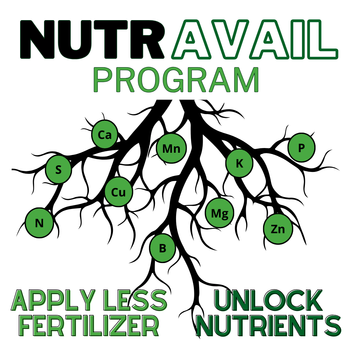 NutrAvail Program — AP
