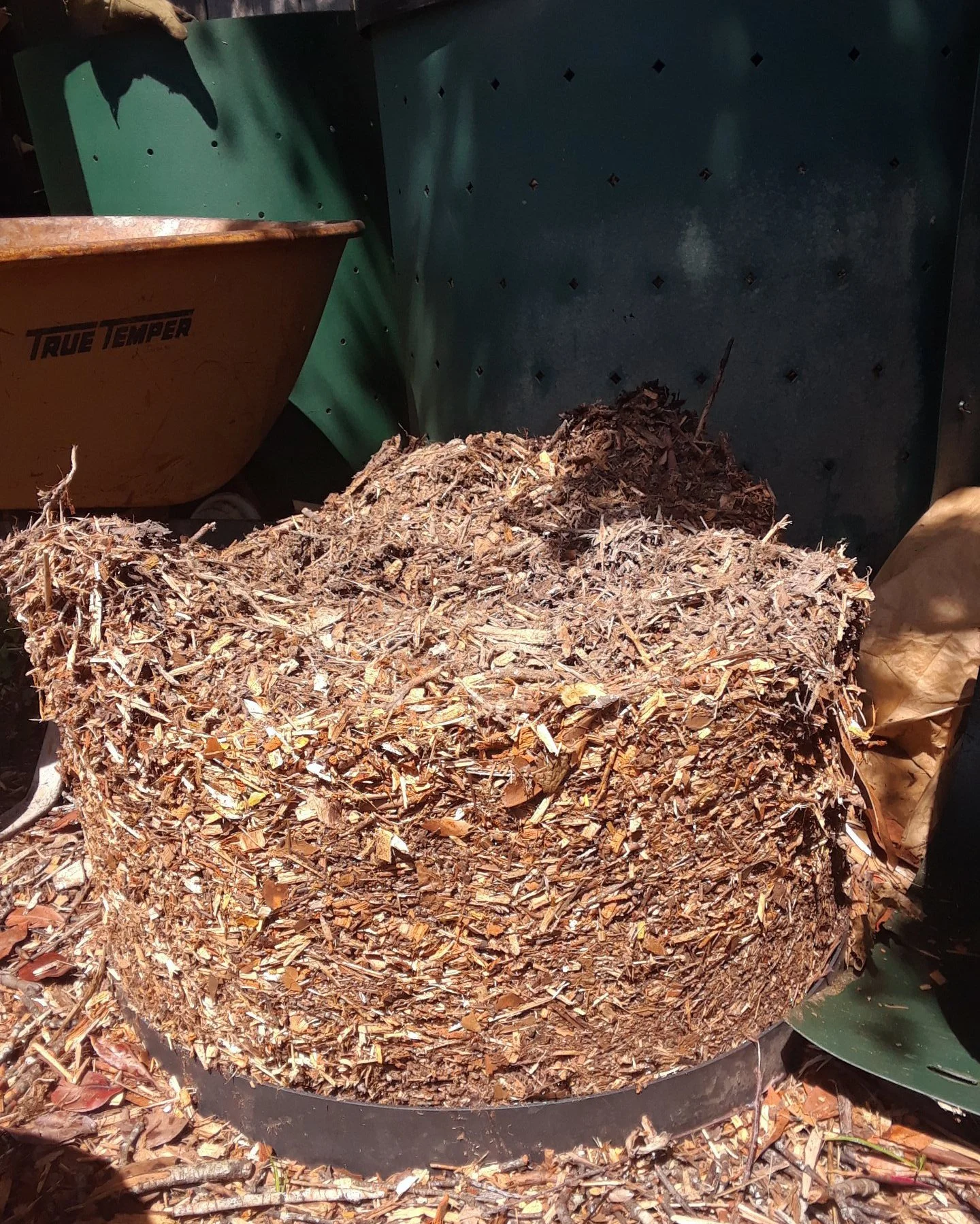 About 1 — Picardo Farm & P-Patch