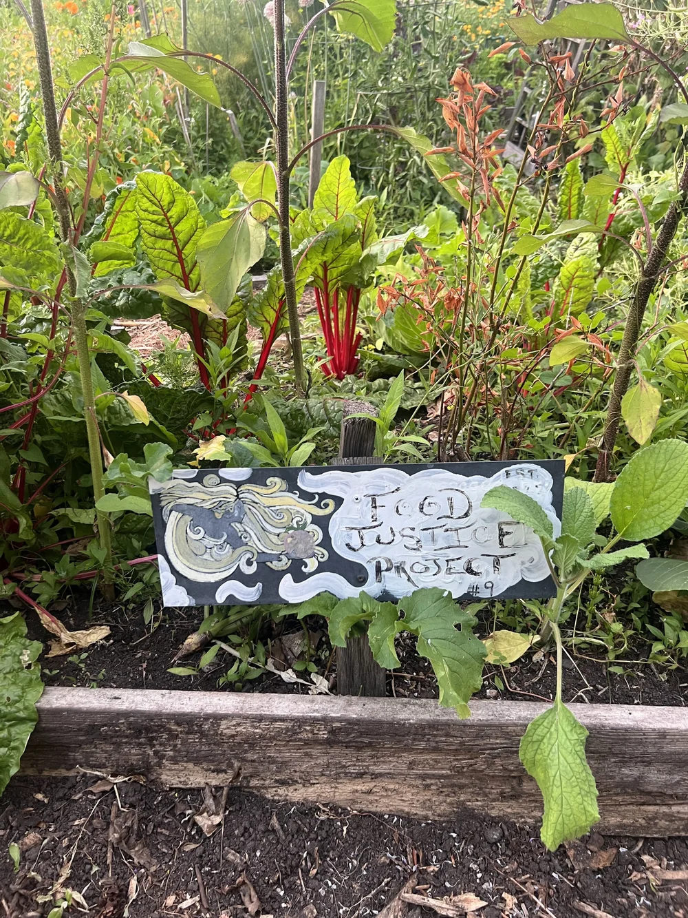 Picardo Farm & P-Patch | Explore, Grow, Volunteer