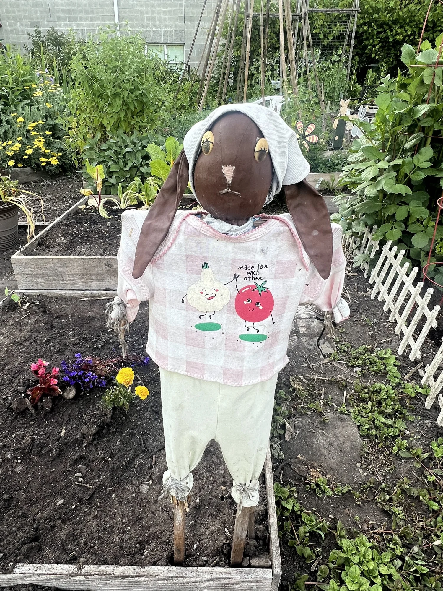 Picardo Farm & P-Patch | Explore, Grow, Volunteer