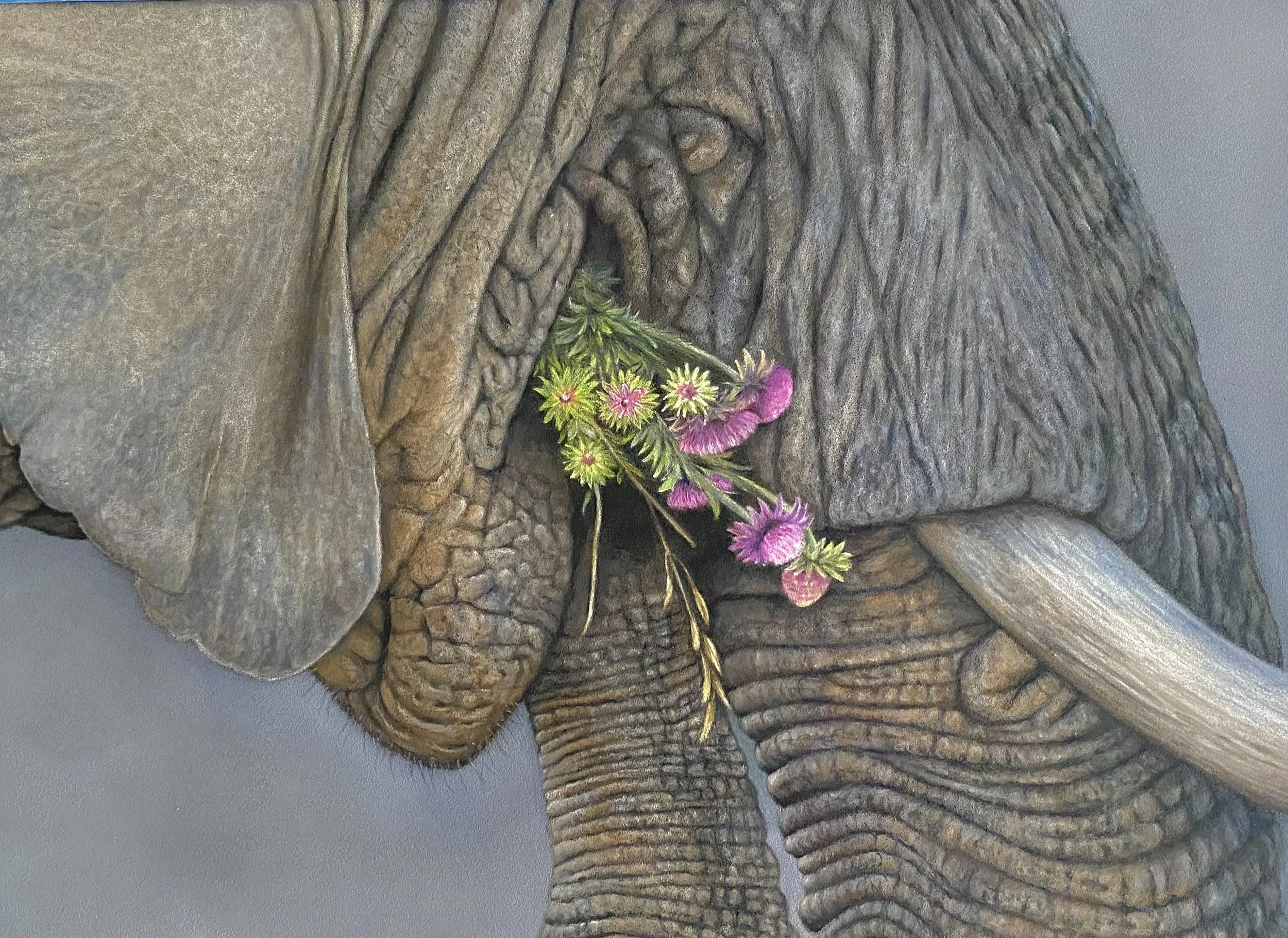 Gallery 3 — Debra Spence Art