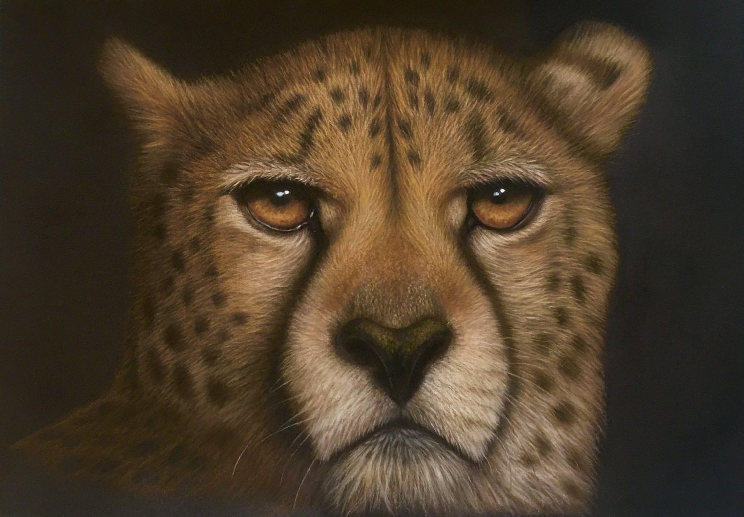 Gallery 3 — Debra Spence Art