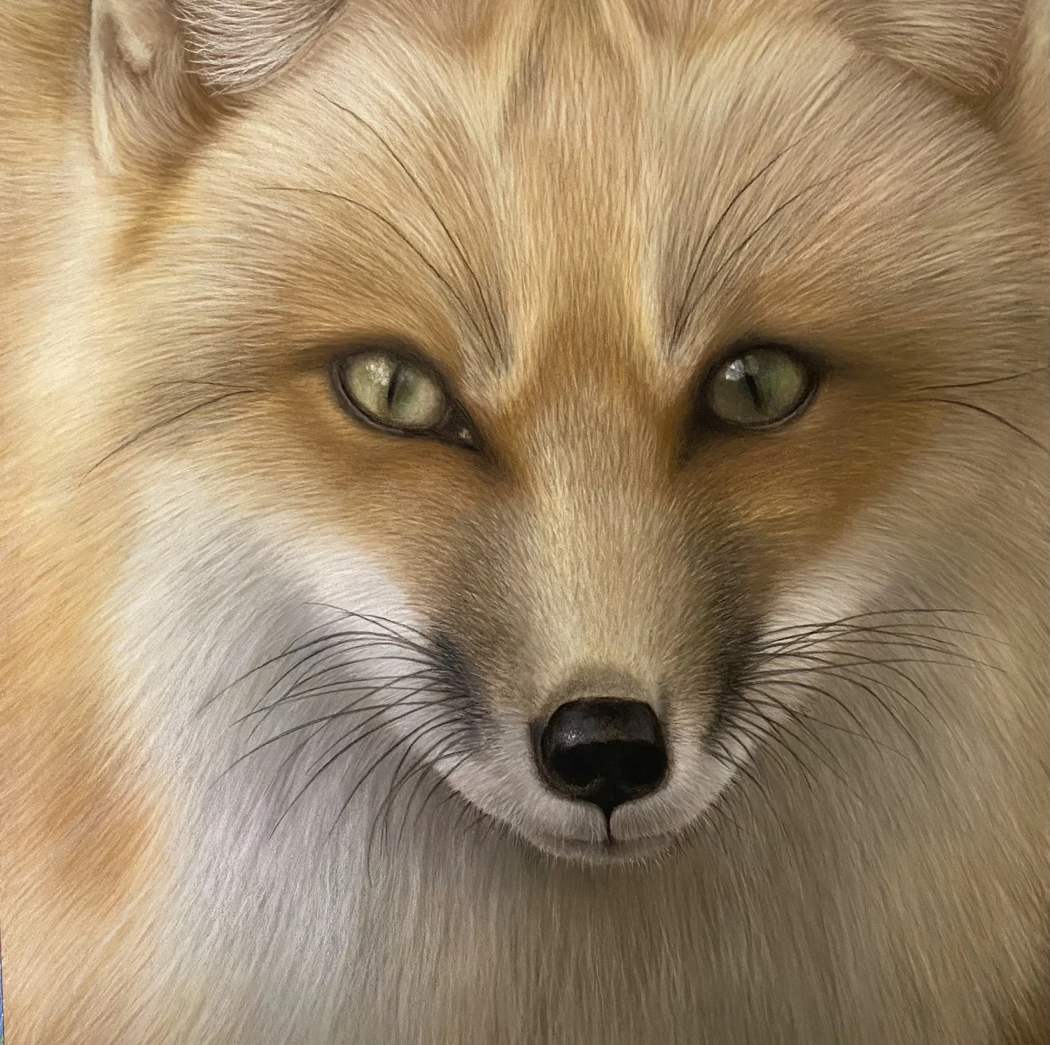 Gallery 3 — Debra Spence Art