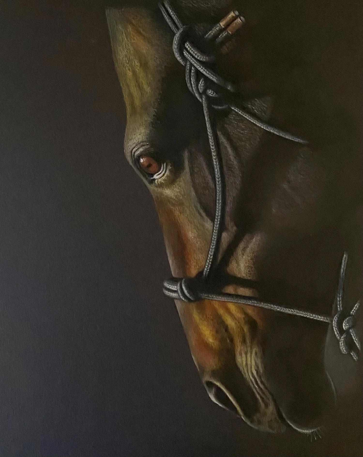 Gallery 3 — Debra Spence Art