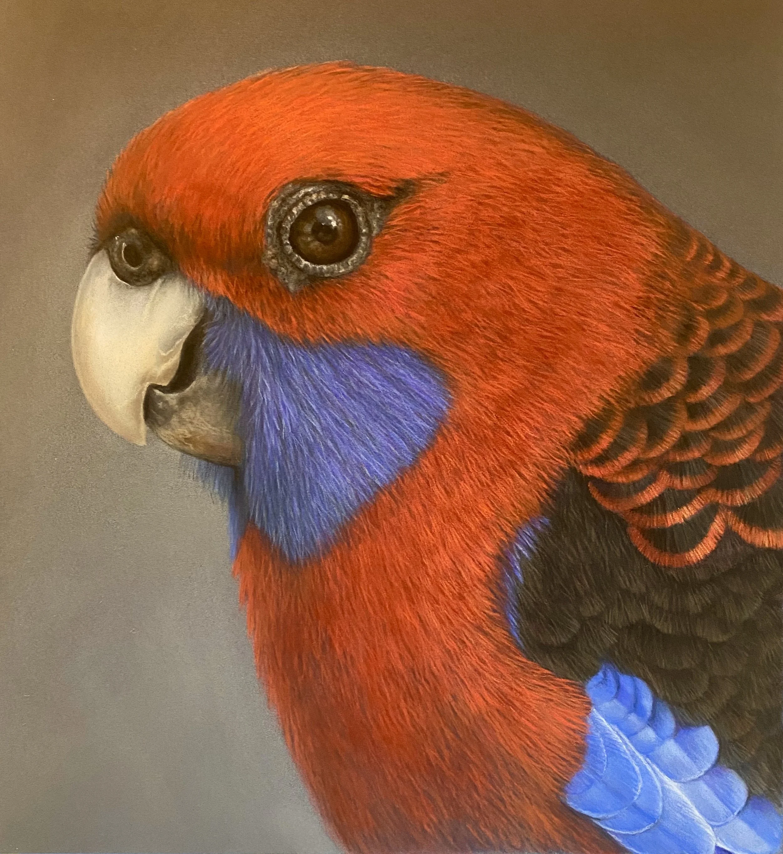 Debra Spence Art