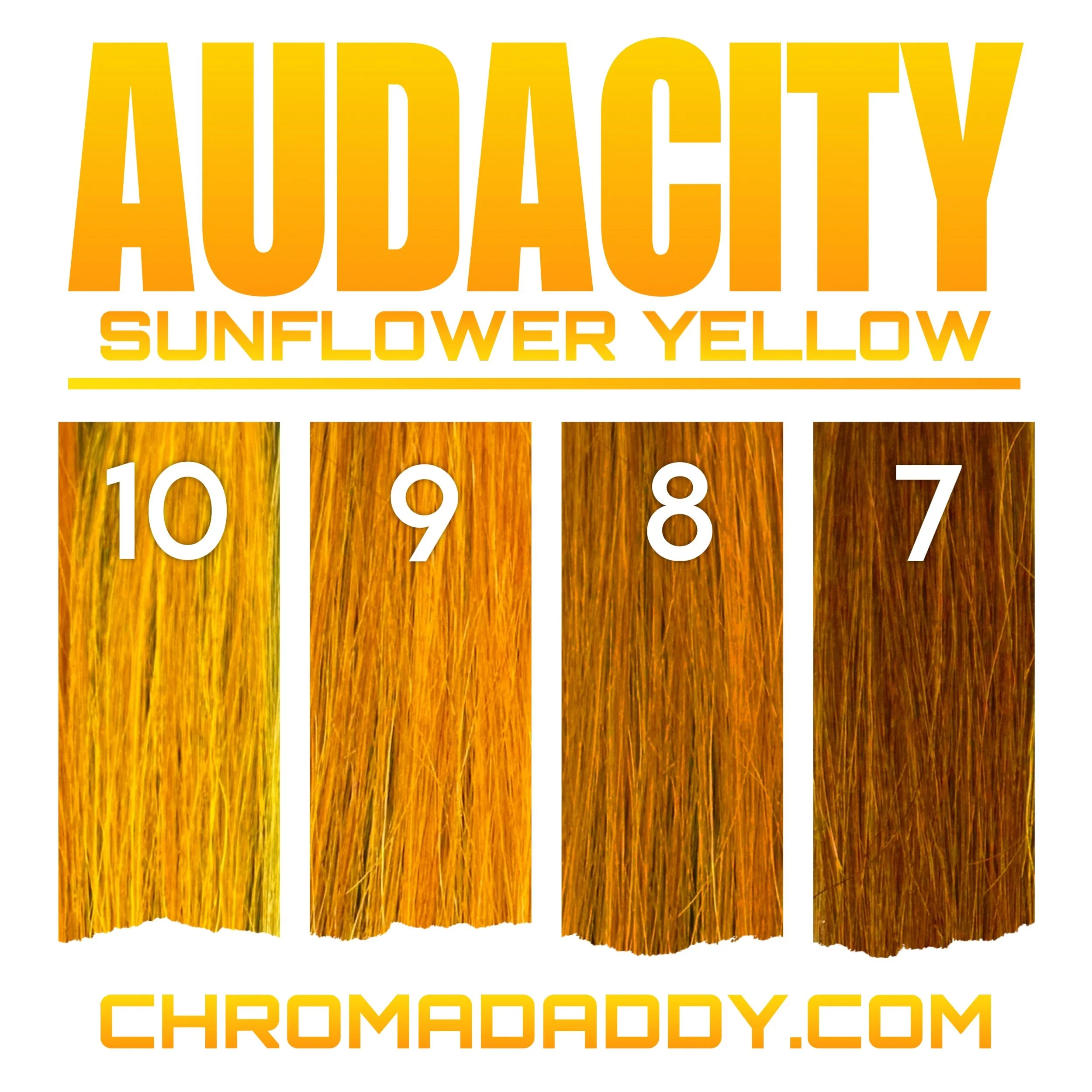 GET YO’SELF SOME SHIT | Shop Unique Styles Now — CHROMA DADDY