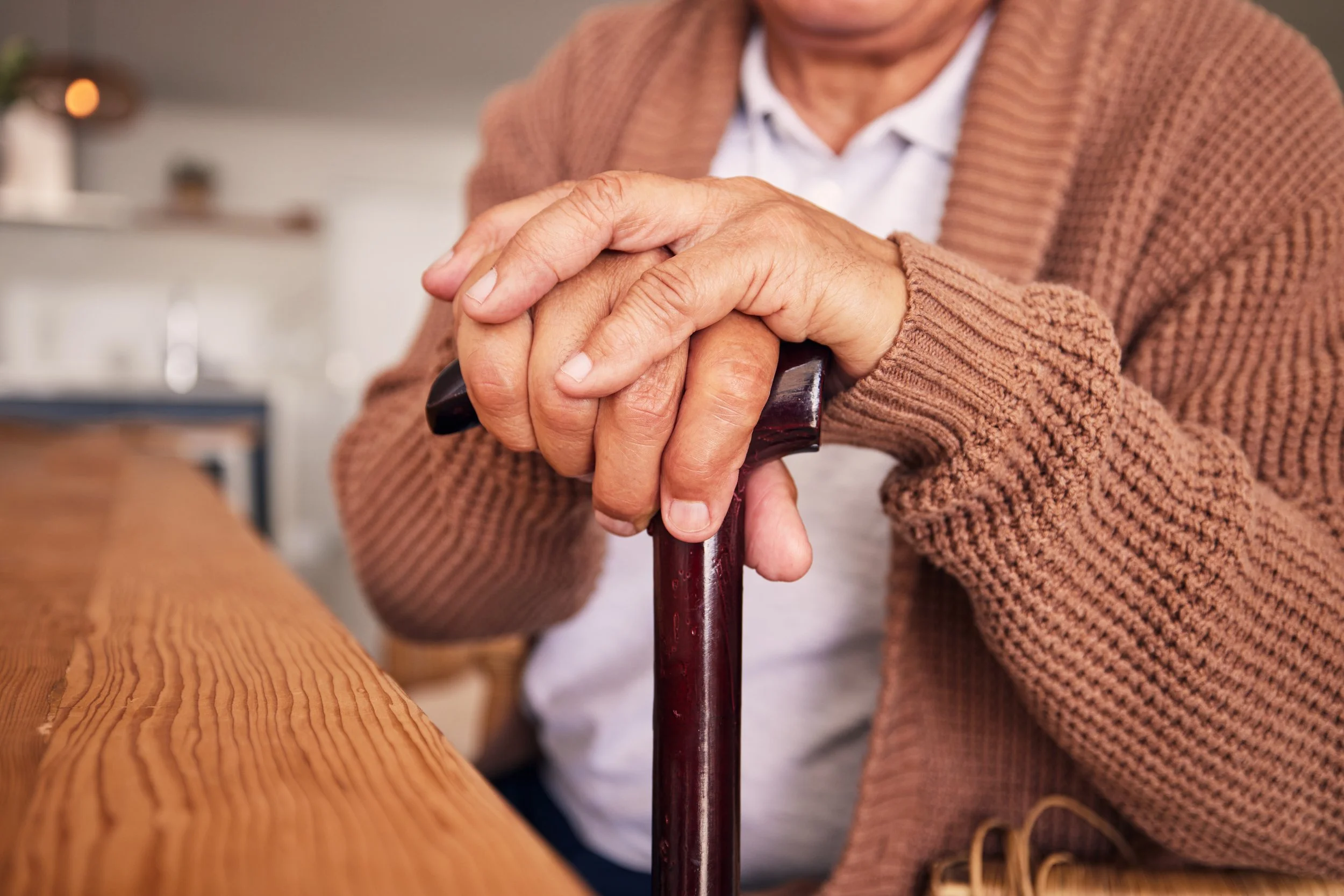 Services — Project Rehab