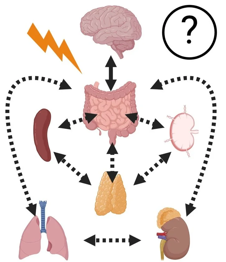 Reviews 1 — Jaechul LIM lab