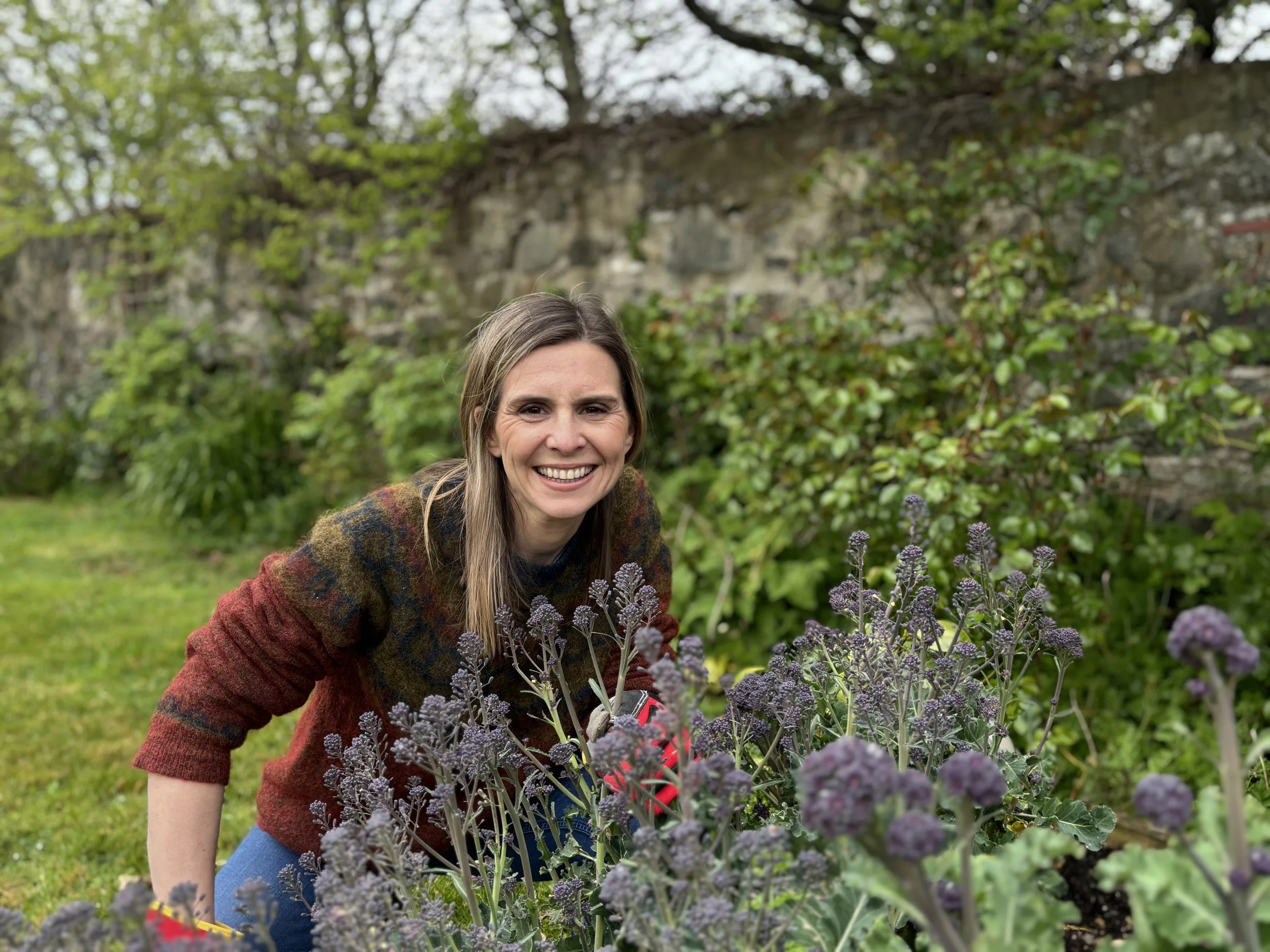 Holywood Community Garden - Community Food Project: community gardening ...