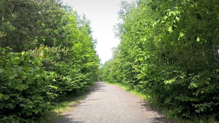 Lake Laurentian Conservation Area to Moonlight Beach — Rainbow Routes ...