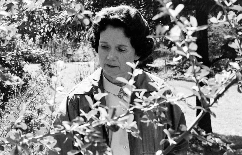 Our Story — Springsong Museum