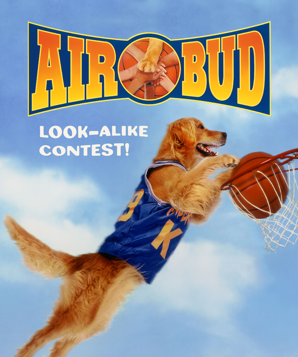 The Largest Golden Retriever Meetup in Texas — ZilkerBark!