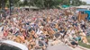 The Largest Golden Retriever Meetup in Texas — ZilkerBark!