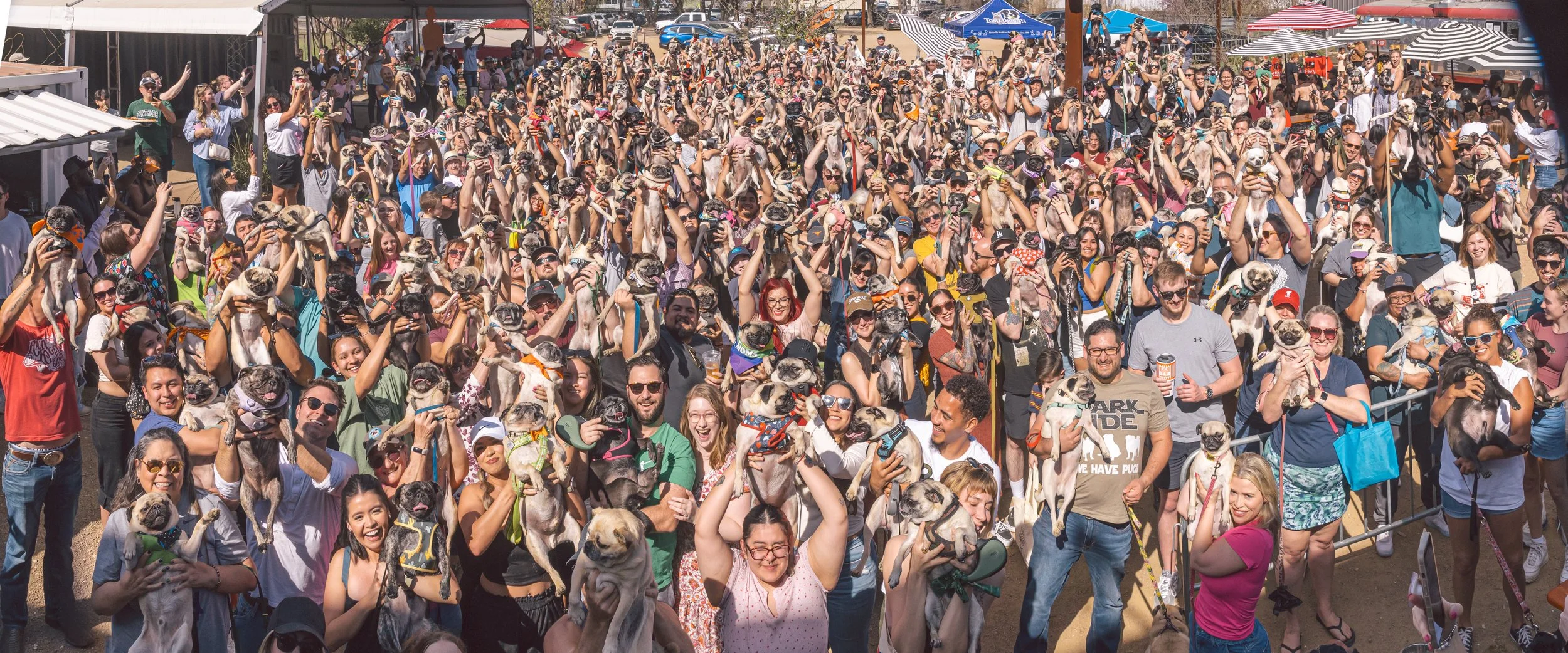 The Great Pug Meetup — ZilkerBark!