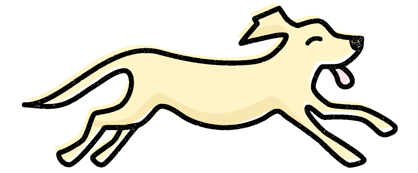 The Largest Golden Retriever Meetup in Texas — ZilkerBark!