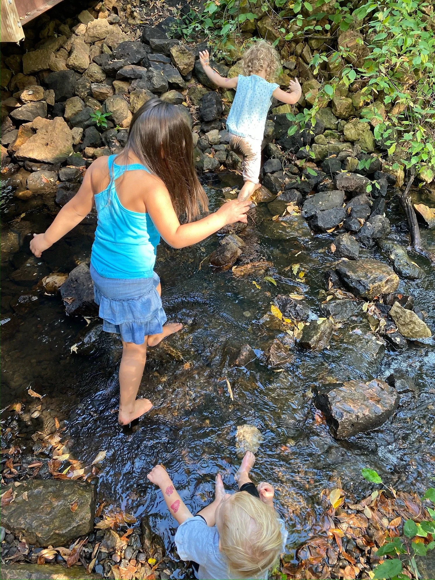 Purpose and Mission — The Hive Homeschool Community