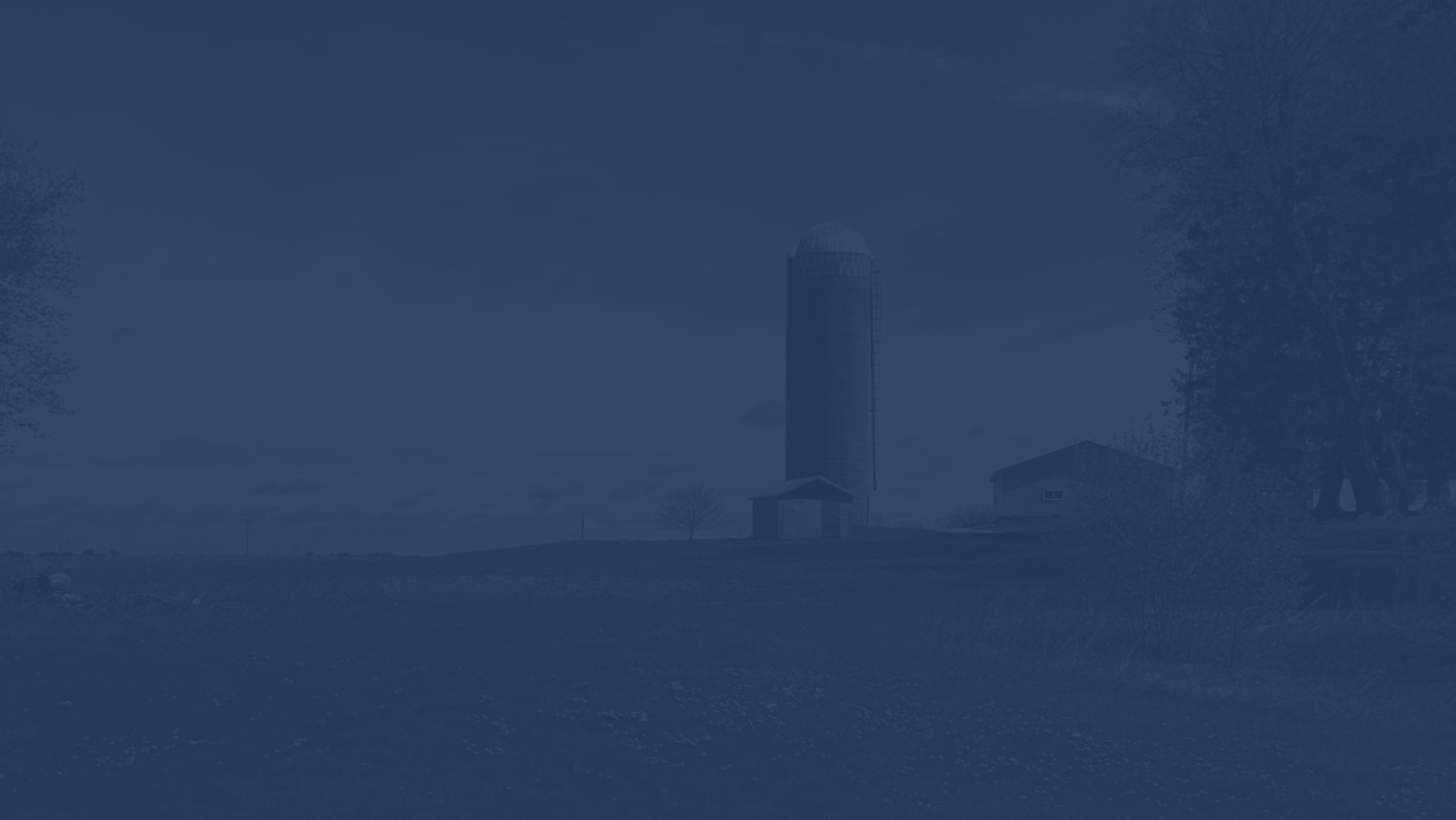 Meet Tara — Tara for Assembly