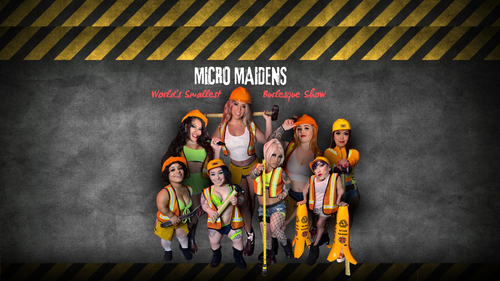 Micro Maidens