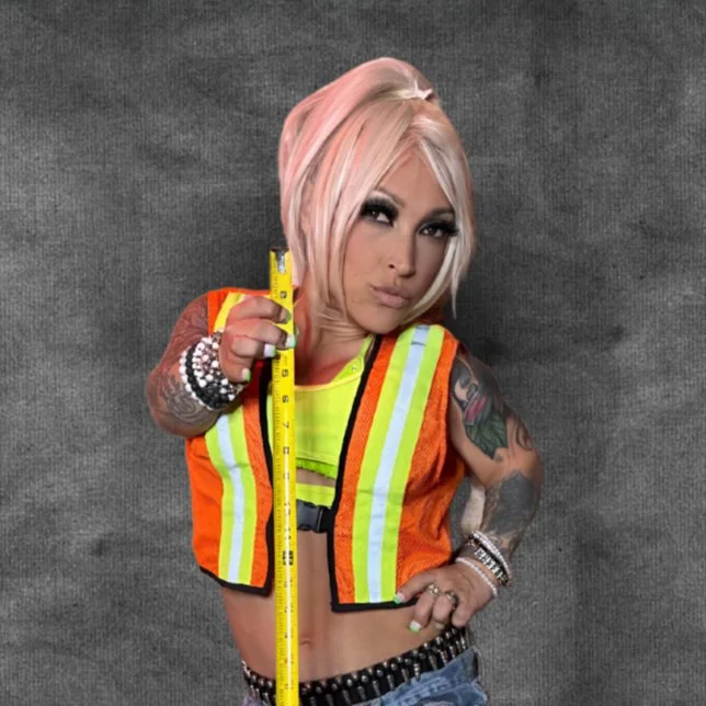 the maidens — Micro Maidens