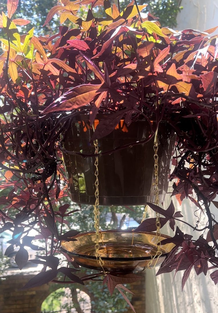 Eco-Friendly Elegance: DIY Hanging Plant Drip Tray from Thrifted Finds ...