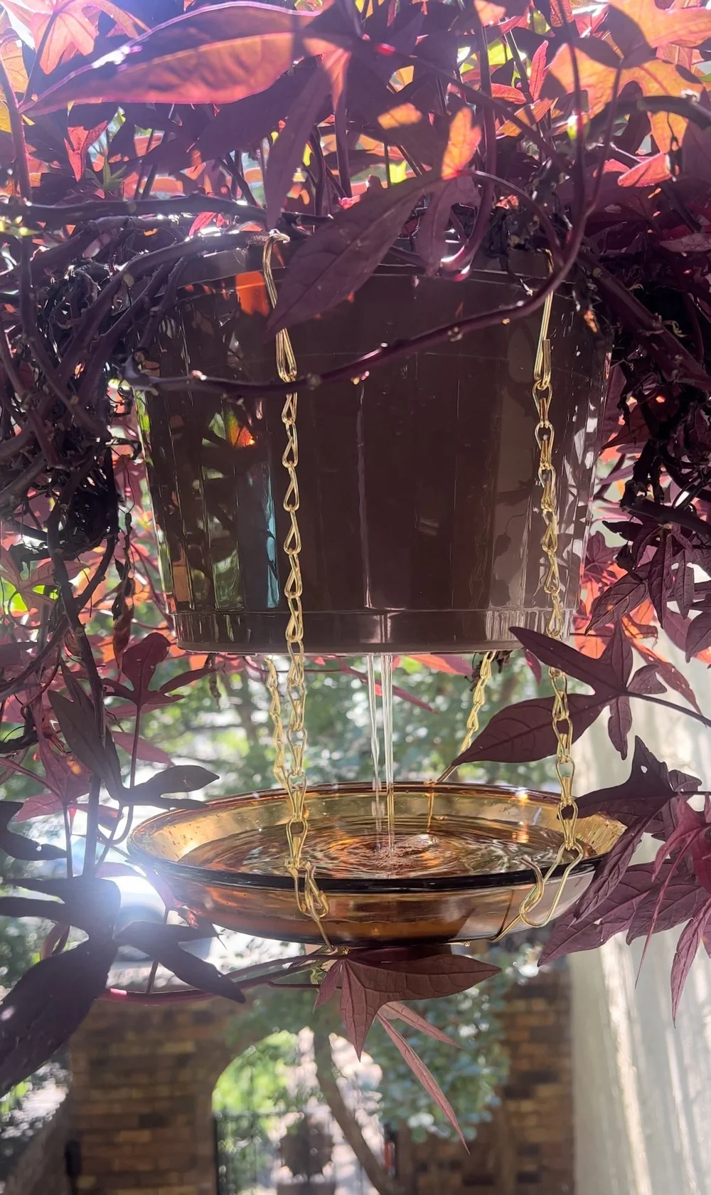 Eco-Friendly Elegance: DIY Hanging Plant Drip Tray from Thrifted Finds ...