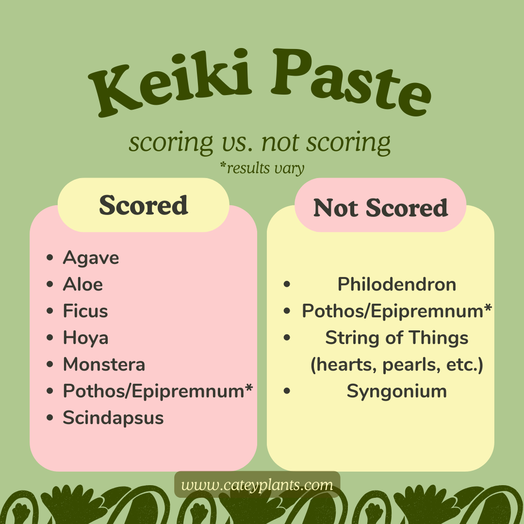 Unlocking Growth: Your Essential Guide to Using Keiki Paste on ...