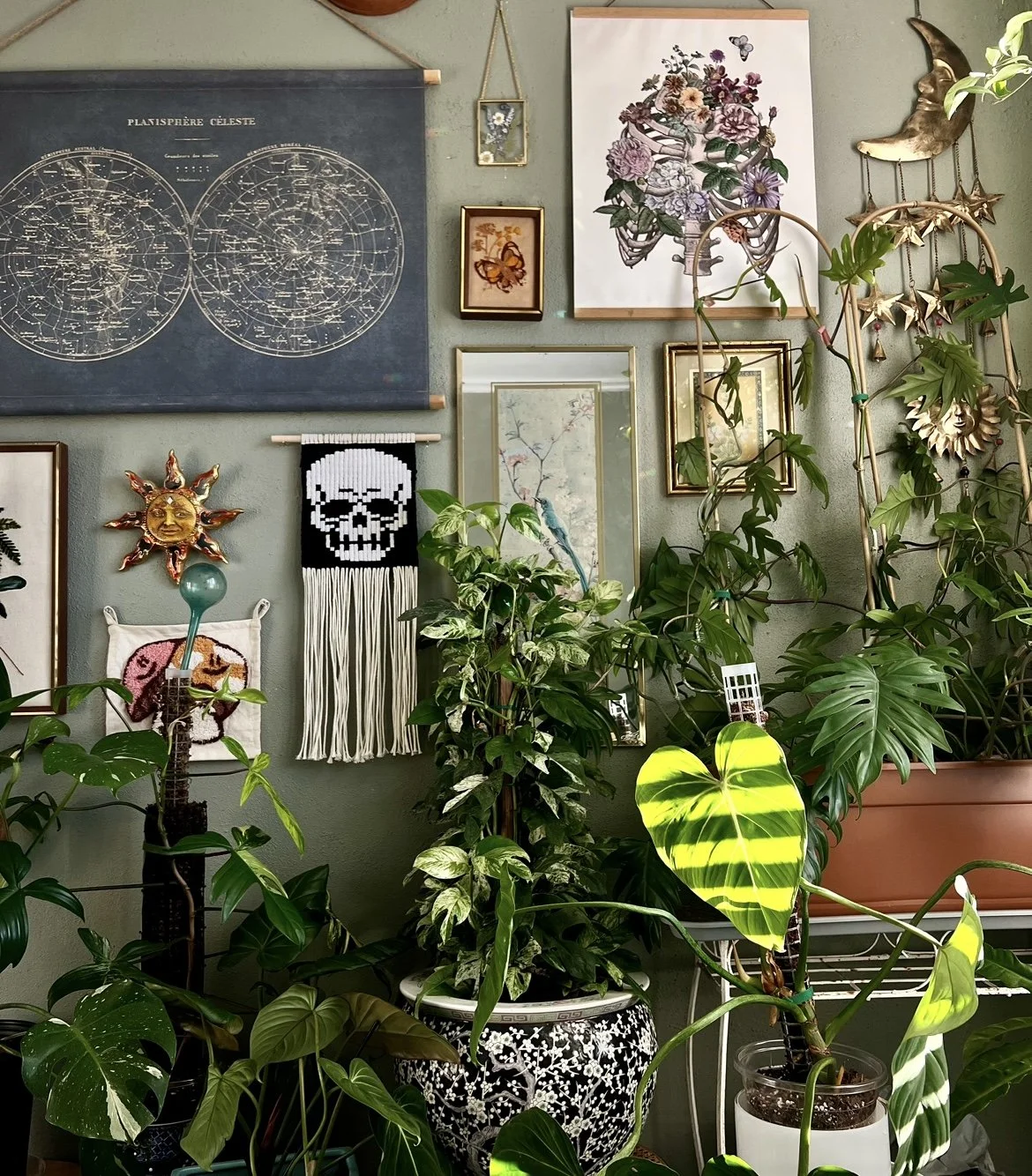 Light Levels 101: Understanding What ‘Bright Indirect Light’ Really ...