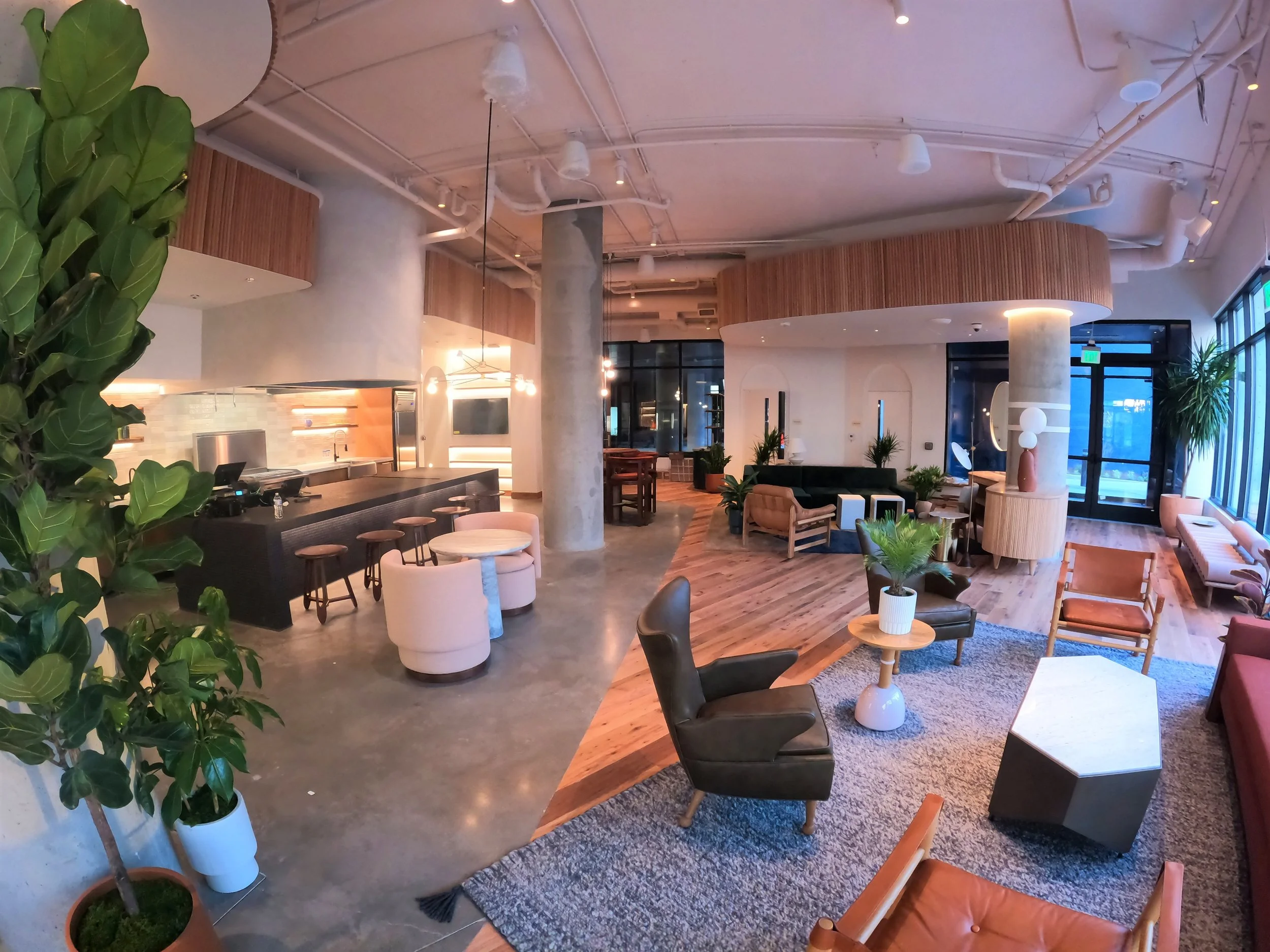 Catbird Lobby and Rooftop Bar — Spectrum General Contractors