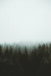 Training — Lifespan Integration Canada