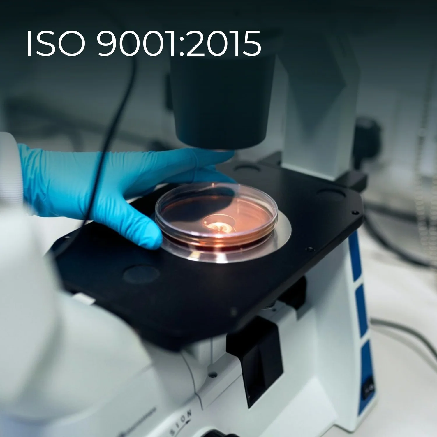 Precision Surface Finishing Solutions | Arrow Finishing