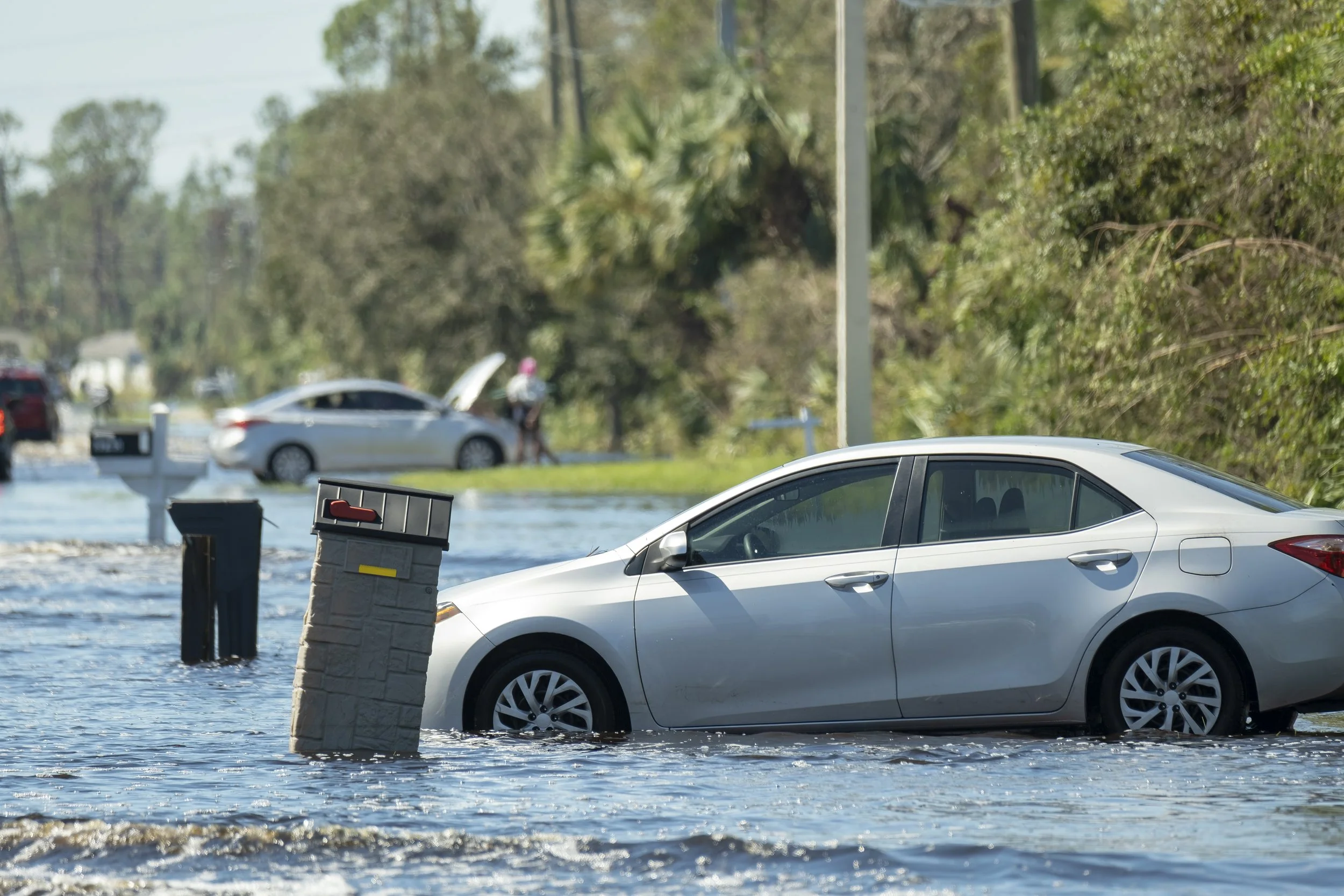 Hurricane Preparedness — The Times at Wellen Park