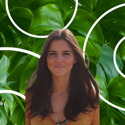 OUR TEAM — PARTNERS IN CARE