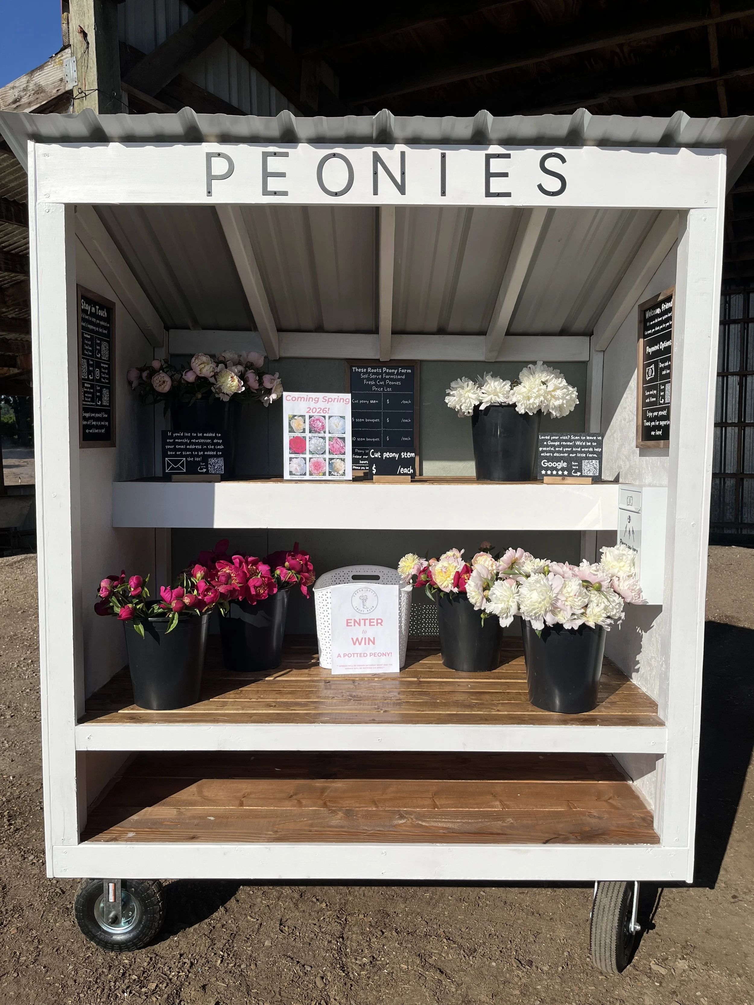 Farm Stand | Fresh-Cut Peonies for Sale in Gervais, Oregon — These ...