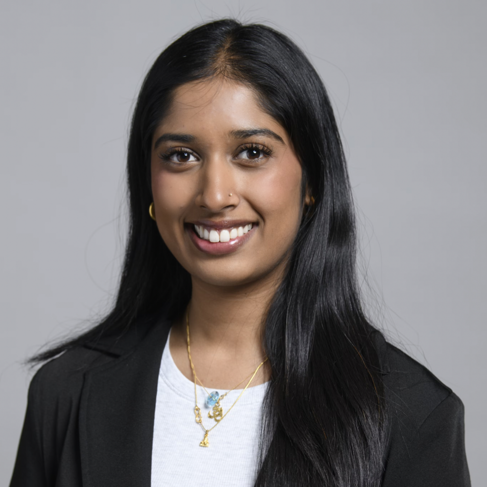 Our Work — Brown's Promise