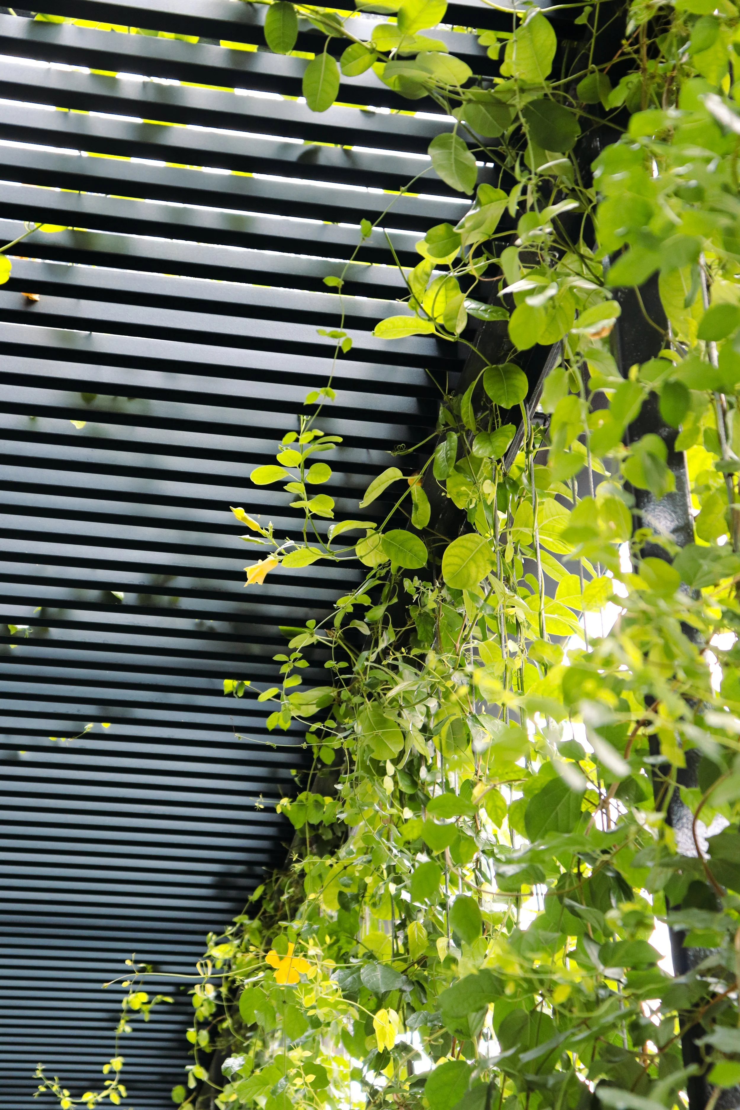 Nestled Nest at Hui Sing Garden — The Borneo Architecture Journal