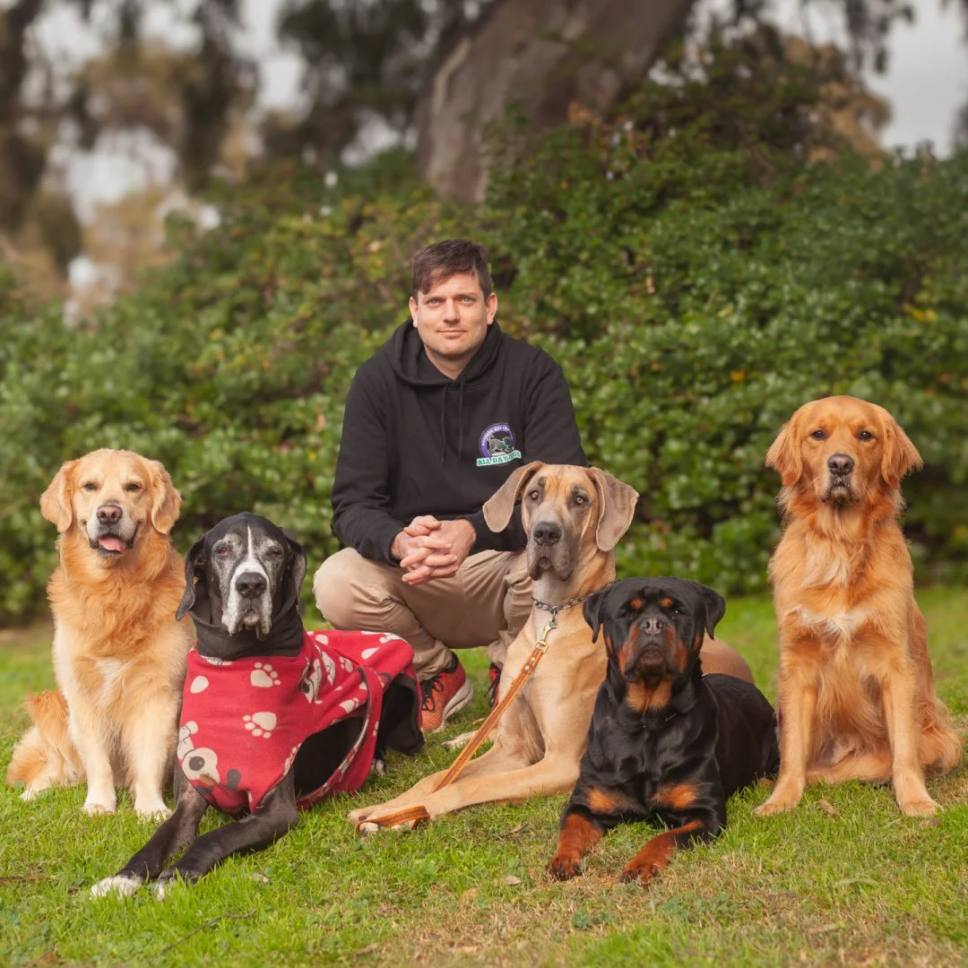 All Day Dogs - Dandenong South Dog Training & Doggy Daycare