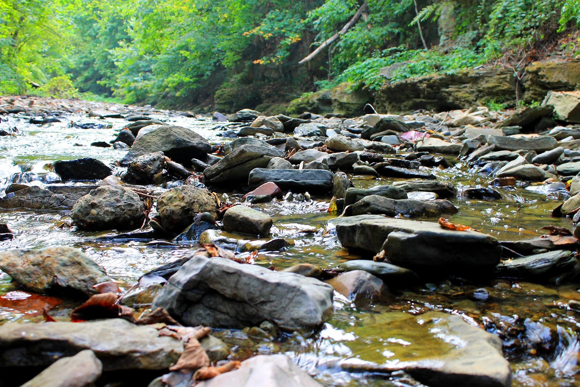 Watersheds of South Pittsburgh