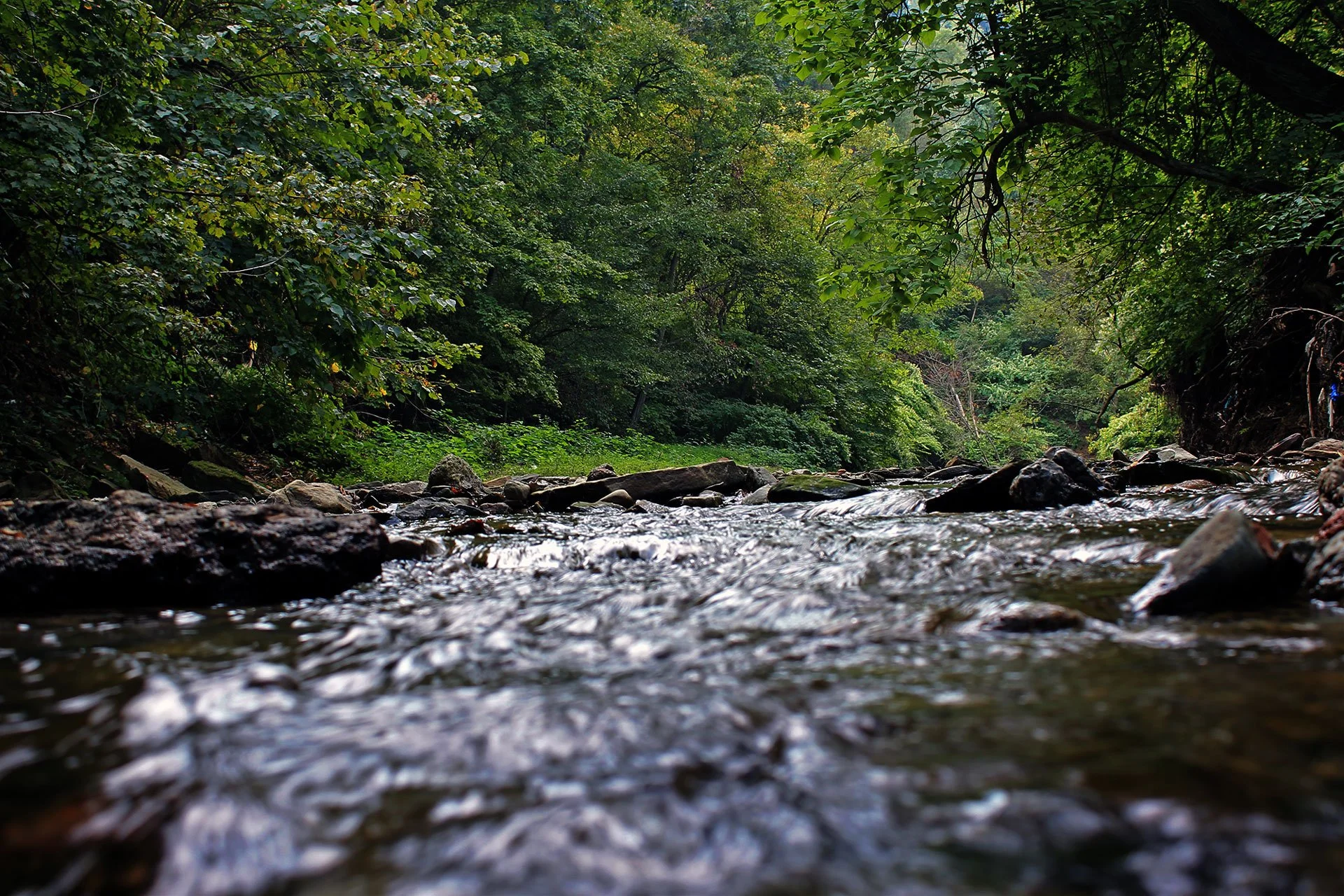 Watersheds of South Pittsburgh
